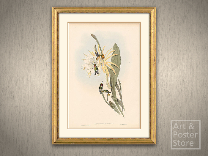 Second Life Marketplace - Heliodore's Wood star | Vintage Natural ...